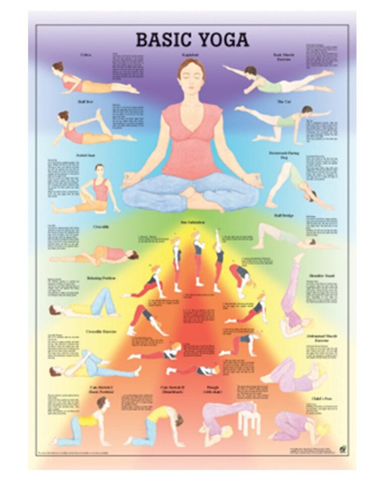 Basic Yoga Anatomical Chart - Osta International