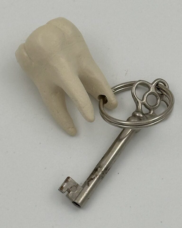 Tooth Key Ring - Osta International