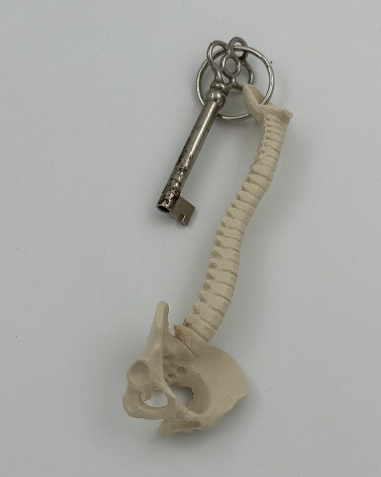 Spine Key Ring - Osta International