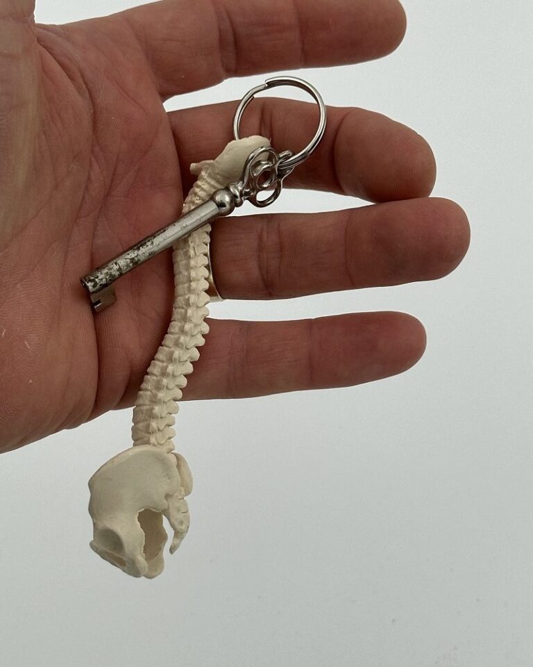 Spine Key Ring - Osta International
