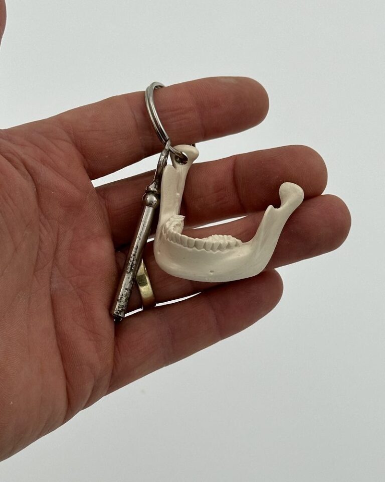 Jaw Key Ring - Osta International